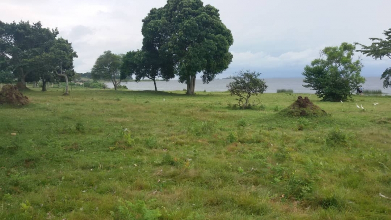 Land for sale in Garuga Entebbe Uganda - Spectrum Real Estate Solutions