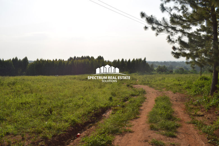 CHEAP PLOTS FOR SALE GAYAZA - Spectrum Real Estate Solutions