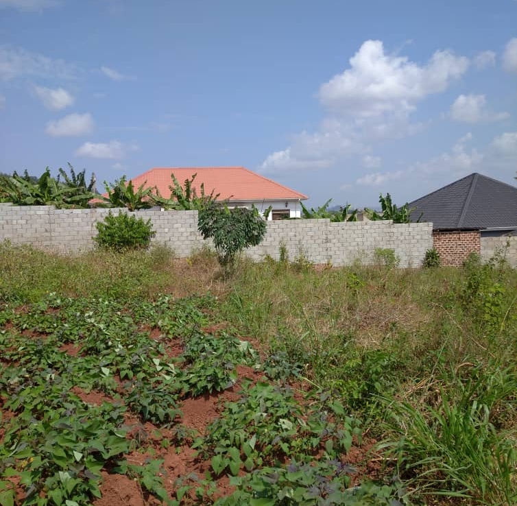 LAND FOR SALE AT SEGUKU KATALE – Spectrum Real Estate Solutions