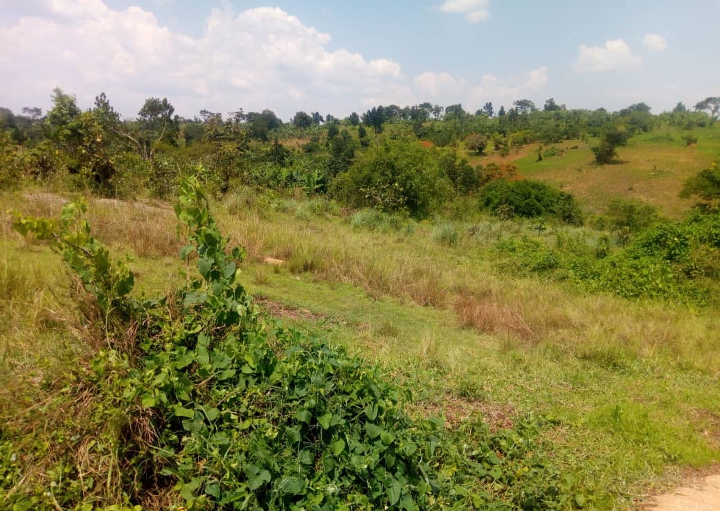 LAND FOR SALE IN KASSANDA DISTRICT – Spectrum Real Estate Solutions