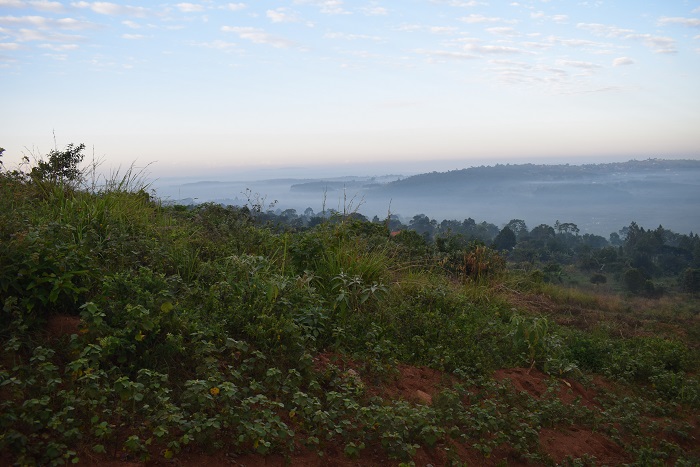 LAND FOR SALE IN SISA ENTEBBE - Spectrum Real Estate Solutions