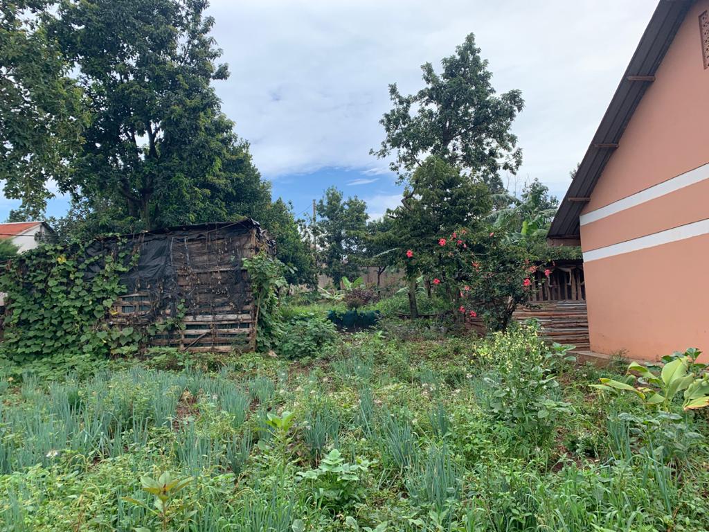 PLOTS FOR SALE IN BUKOTO - Spectrum Real Estate Solutions