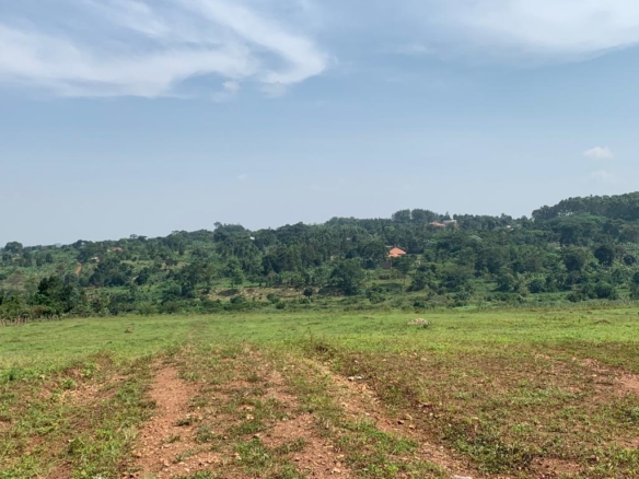 Cheap Plots for sale in Uganda – Spectrum Real Estate Solutions