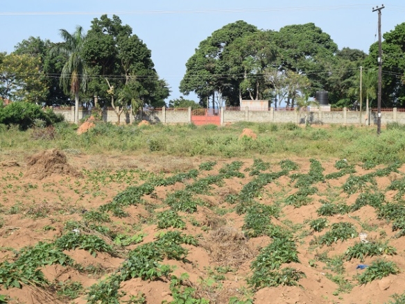 Land For Sale in Entebbe - Spectrum Real Estate Solutions