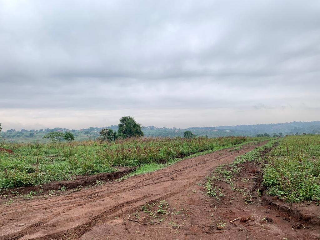 PLOT IN MATUGGA - Spectrum Real Estate Solutions