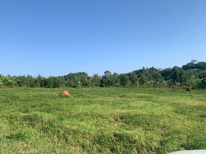 Cheap Plots for sale in Uganda - Spectrum Real Estate Solutions