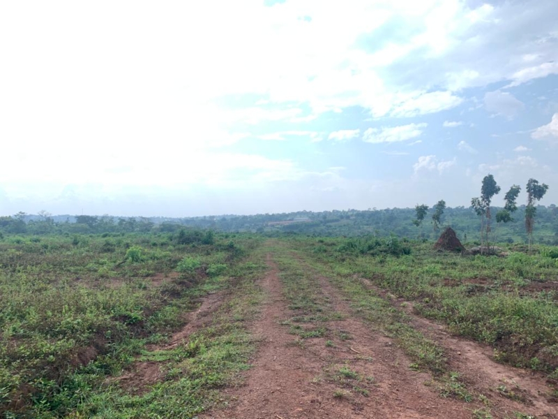 Cheap Plots for sale in Uganda - Spectrum Real Estate Solutions